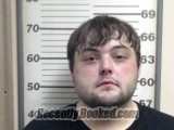 Recent Booking / Mugshot for LOGAN E STANFIELD in Crawford County, Illinois