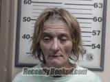 Recent Booking / Mugshot for LOUISE M. SHIELDS in Crawford County, Illinois