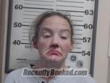 Recent Booking / Mugshot for PATRICIA E TAYLOR in Crawford County, Illinois