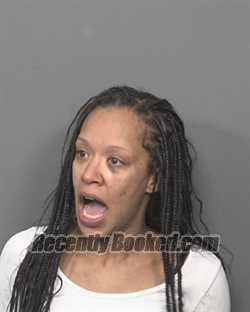 Recent Booking / Mugshot for JAMIE L JOHNSON in DeKalb County, Illinois
