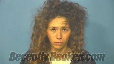 Recent Booking / Mugshot for AMANDA CALABRESE in DuPage County, Illinois