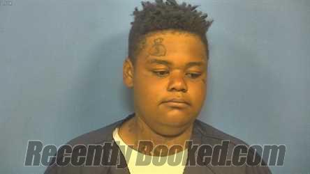 Recent Booking / Mugshot for ADREANNA DAVIS in DuPage County, Illinois