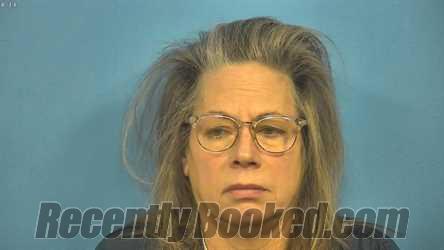 Recent Booking / Mugshot for BROOKE JANIK in DuPage County, Illinois