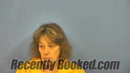DAWN LAUER Arrest Record & Booking Info – DuPage County, Illinois ...