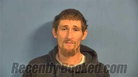 Recent Booking / Mugshot for DAVID ROBINETTE in DuPage County, Illinois