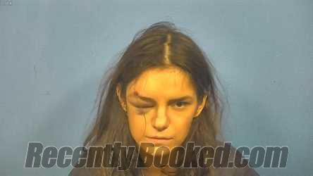 Recent Booking / Mugshot for ENA HATIBOVIC in DuPage County, Illinois