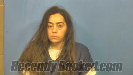 Recent Booking / Mugshot for ELIZABETH NELSON in DuPage County, Illinois