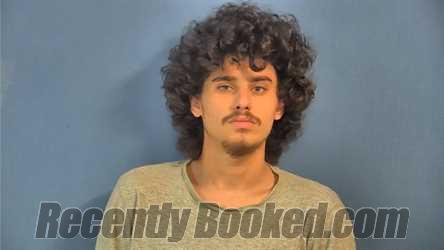 Recent Booking / Mugshot for JONATHAN AWAD in DuPage County, Illinois