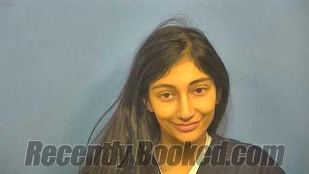 JENELLE MATHEW Arrest Record & Booking Info – DuPage County, Illinois ...