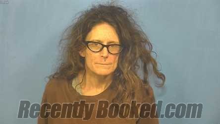 Recent Booking / Mugshot for KELLY SHEPARD in DuPage County, Illinois
