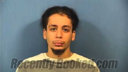 NATHAN TORRES Arrest Record & Booking Info – DuPage County, Illinois ...