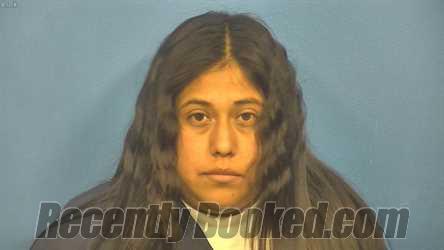 Recent Booking / Mugshot for REYNA FLORES-ARENAS in DuPage County, Illinois