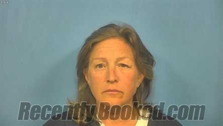 Recent Booking / Mugshot for SARAH BRANT in DuPage County, Illinois