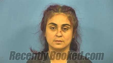 Recent Booking / Mugshot for SONIA RIVERA in DuPage County, Illinois