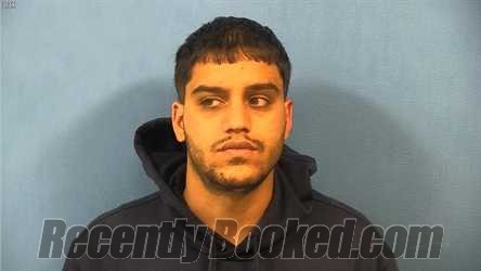 Recent Booking / Mugshot for SIMONE SIGNORELLI in DuPage County, Illinois