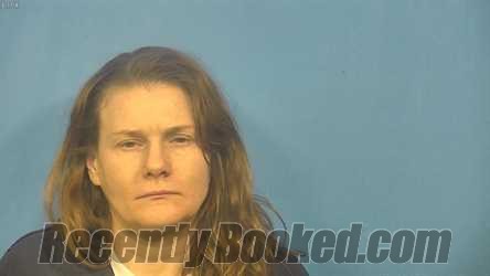 Recent Booking / Mugshot for TRACEY FELLOWS in DuPage County, Illinois