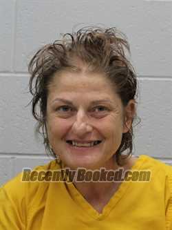 Recent Booking / Mugshot for CHRISTIN LYNN DELASHMIT in Franklin County ...