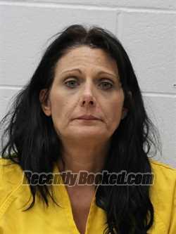 Recent Booking / Mugshot for AMANDA LEE DOOLEY in Franklin County, Illinois