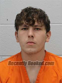 Recent Booking / Mugshot for JORDAN J LIGON in Franklin County, Illinois