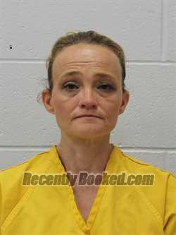 Recent Booking / Mugshot for APRIL BETH SMITH in Franklin County, Illinois