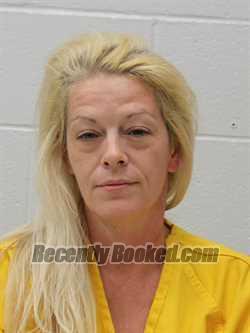 Recent Booking / Mugshot for JESSICA L SIMS in Franklin County, Illinois