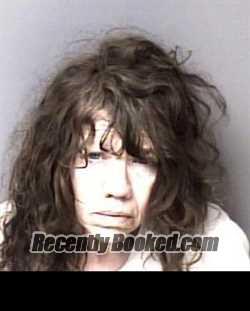 Recent Booking / Mugshot for Lisa Stroupe Mathis in Gaston County ...