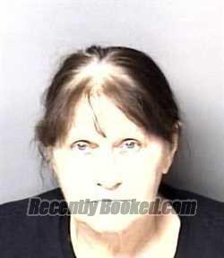 Recent Booking / Mugshot for Christine Ann McClellan in Gaston County ...
