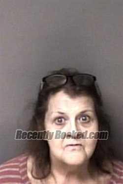 Recent Booking / Mugshot for Patricia Kay Johnson in Gaston County ...
