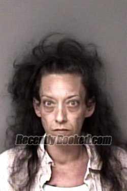 Recent Booking / Mugshot for Amy Walters Stowe in Gaston County, North ...
