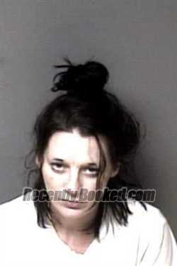 Recent Booking / Mugshot for Destiney Dawn Efaw-Wilson in Gaston County ...
