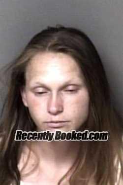 Recent Booking / Mugshot for Ashley Kimberly, Martin Hullender in ...