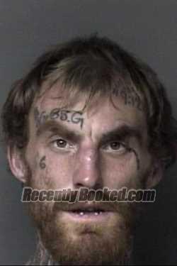 Recent Booking / Mugshot for James Wesley McAlister in Gaston County ...