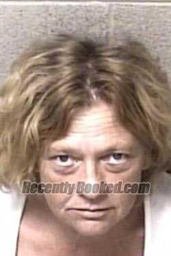 Recent Booking / Mugshot for Michele Leigh Robles in Gaston County ...