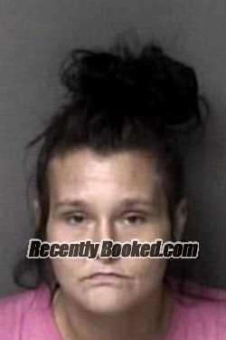 Recent Booking / Mugshot for Brandy Ann Silvers in Gaston County, North ...