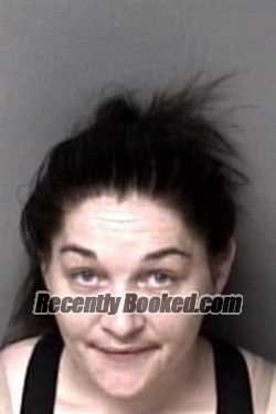 Recent Booking / Mugshot for Hailey Nicole Hiatt in Gaston County ...
