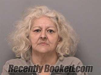 Recent Booking / Mugshot for LISA A ROLLINSON in Jefferson County, Illinois