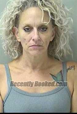 Recent Booking / Mugshot for ANGELA LYNN KOKES in Kane County, Illinois