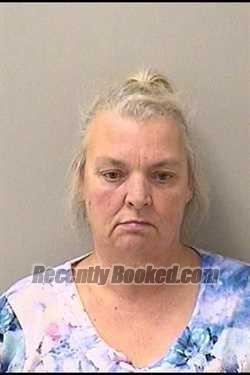 Recent Booking / Mugshot for BETH ANN HANCE in Kane County, Illinois