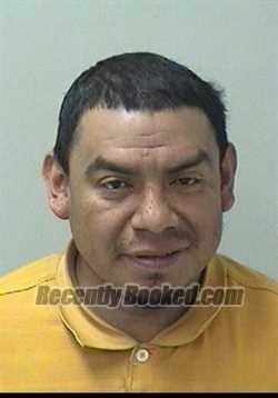 Recent Booking / Mugshot for JOSE L NAVA-RODRIGUEZ in Kane County, Illinois