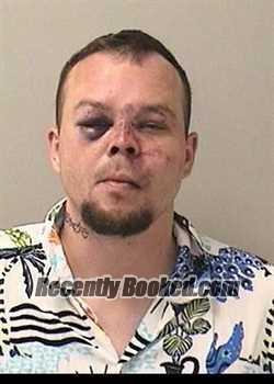 Recent Booking / Mugshot for DEVIN MICHAEL ALSIP in Kane County, Illinois