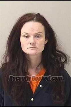 Recent Booking / Mugshot for LYDIA STRAKA in Kane County, Illinois