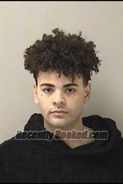 TREY W AUSTIN Arrest Record & Booking Info – Kane County, Illinois ...