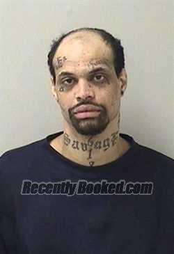 Recent Booking / Mugshot for PERRY J NESBITT in Kane County, Illinois