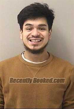 Recent Booking / Mugshot for ROBERT JOSEPH SERPICO in Kane County, Illinois