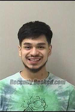 ROBERT JOSEPH SERPICO Arrest Record & Booking Info – Kane County ...
