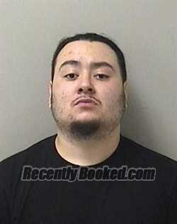 Recent Booking / Mugshot for NICHOLAS MATTHEW CALDERON in Kane County ...