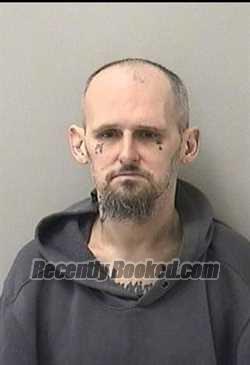 Recent Booking / Mugshot for ROBIN K DAVIS in Kane County, Illinois