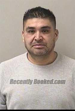 Recent Booking / Mugshot for LUIS A HERNANDEZ in Kane County, Illinois