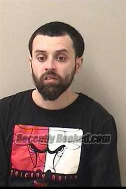Recent Booking / Mugshot for BRANDON L ROCHE in Kane County, Illinois