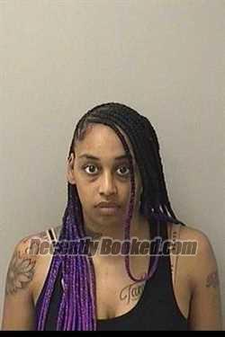 Recent Booking / Mugshot for BREANNA HAYNES in Kane County, Illinois